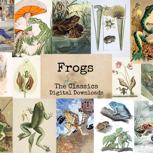 Frogs Digital Ephemera Classics Digital Images Vintage - Etsy