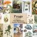 Frogs - Digital Ephemera Classics, Digital Images, Vintage Art, Instant ...