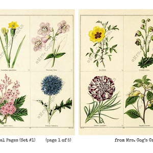Floral Pages Set #1 - Large Images, Printable Images, Instant Download ...