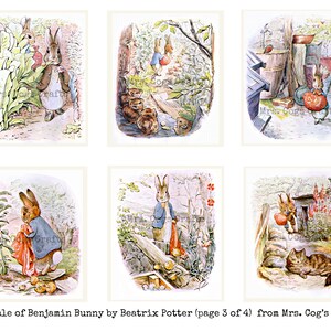 The Tale of Benjamin Bunny, by Beatrix Potter - Digital Ephemera ...