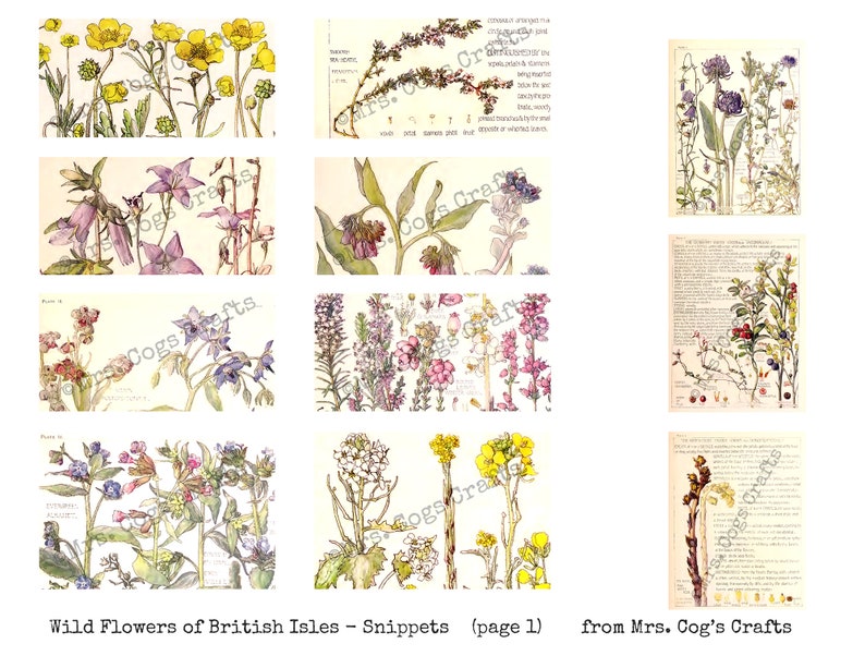 Mini Art - Wild Flower Snippets - Set #4 , Printable Images, Digital ...