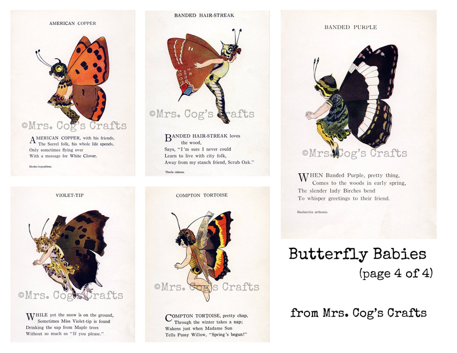 Butterfly Babies Digital Ephemera Classics Digital Images - Etsy