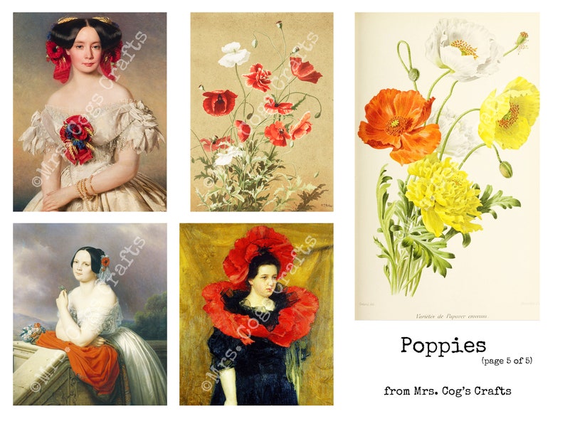 Poppies - Printable Images, Digital Ephemera, Vintage Art, Instant ...