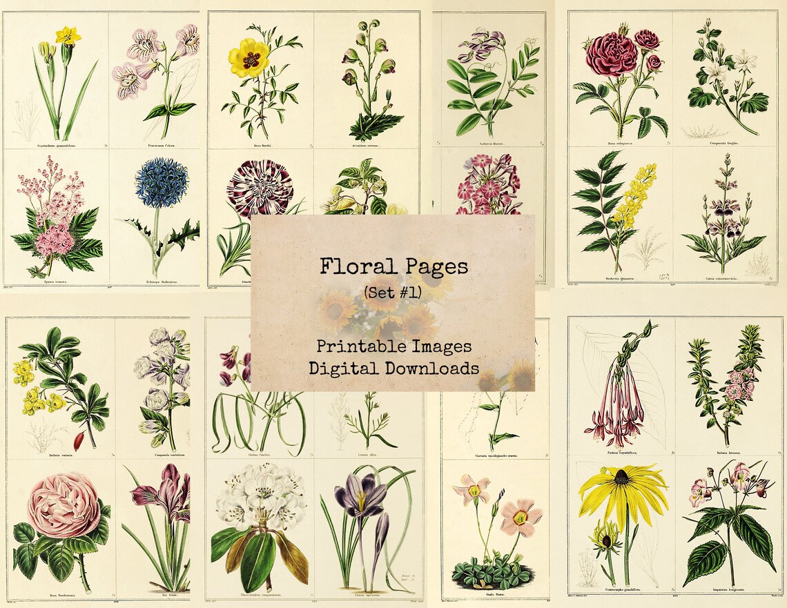 Floral Pages Set #1 - Large Images, Printable Images, Instant Download ...