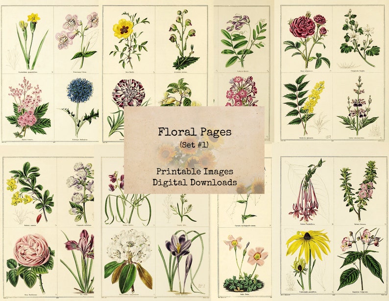 Floral Pages Set 1 Large Images Printable Images Instant - Etsy