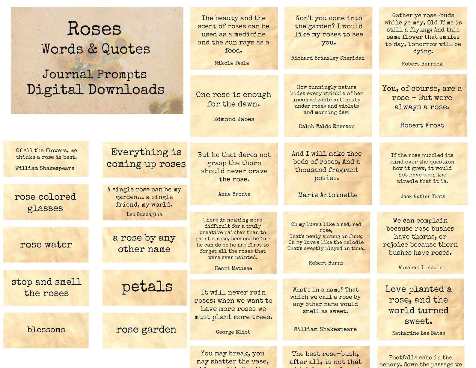 Roses Words & Quotes Journal Prompts Printable Words | Etsy