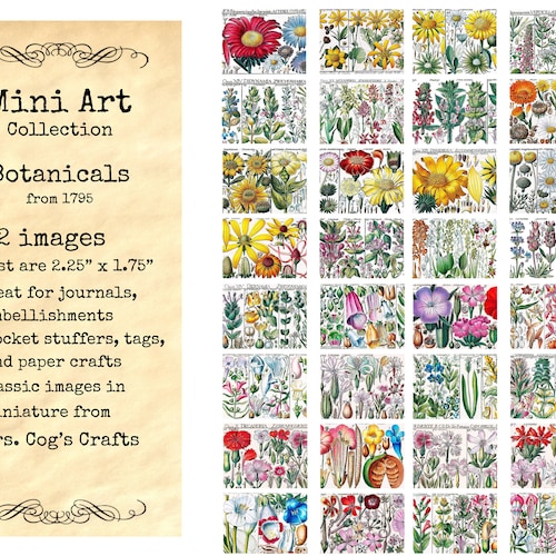 Mini Art Beautiful Faces Printable Images Digital - Etsy