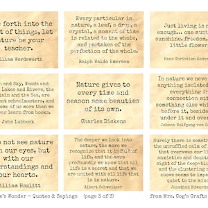 Nature's Wonder - Quotes & Sayings - Journal Prompts, Printable Words ...