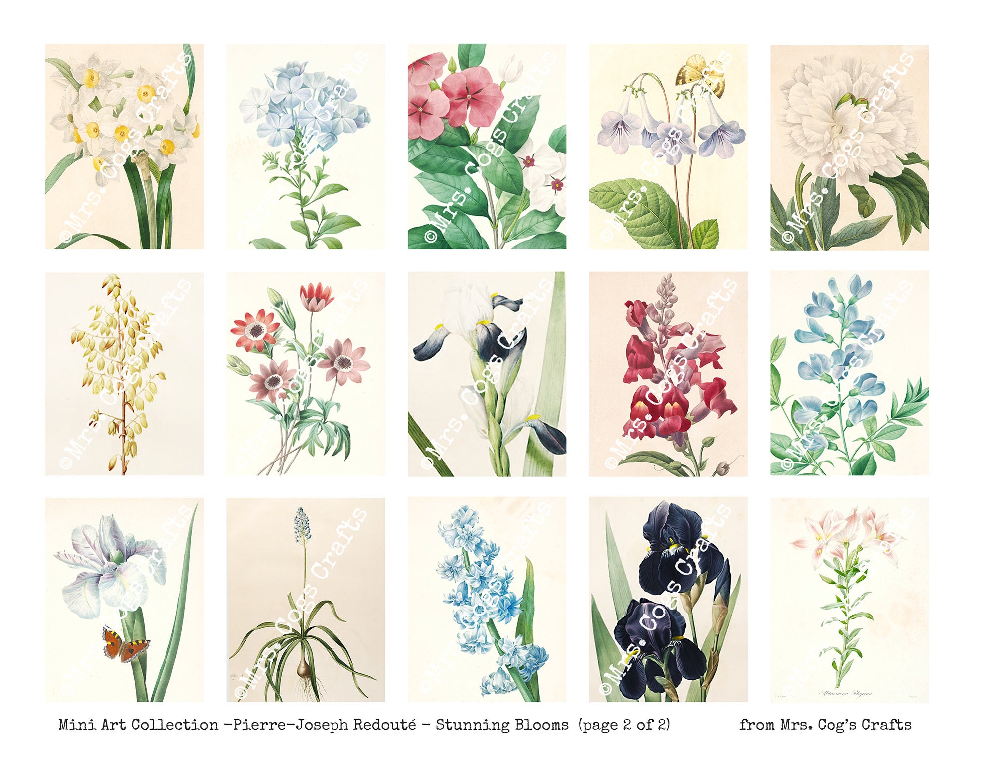 Mini Art - Pierre-joseph Redouté - Printable Images, Digital Download ...