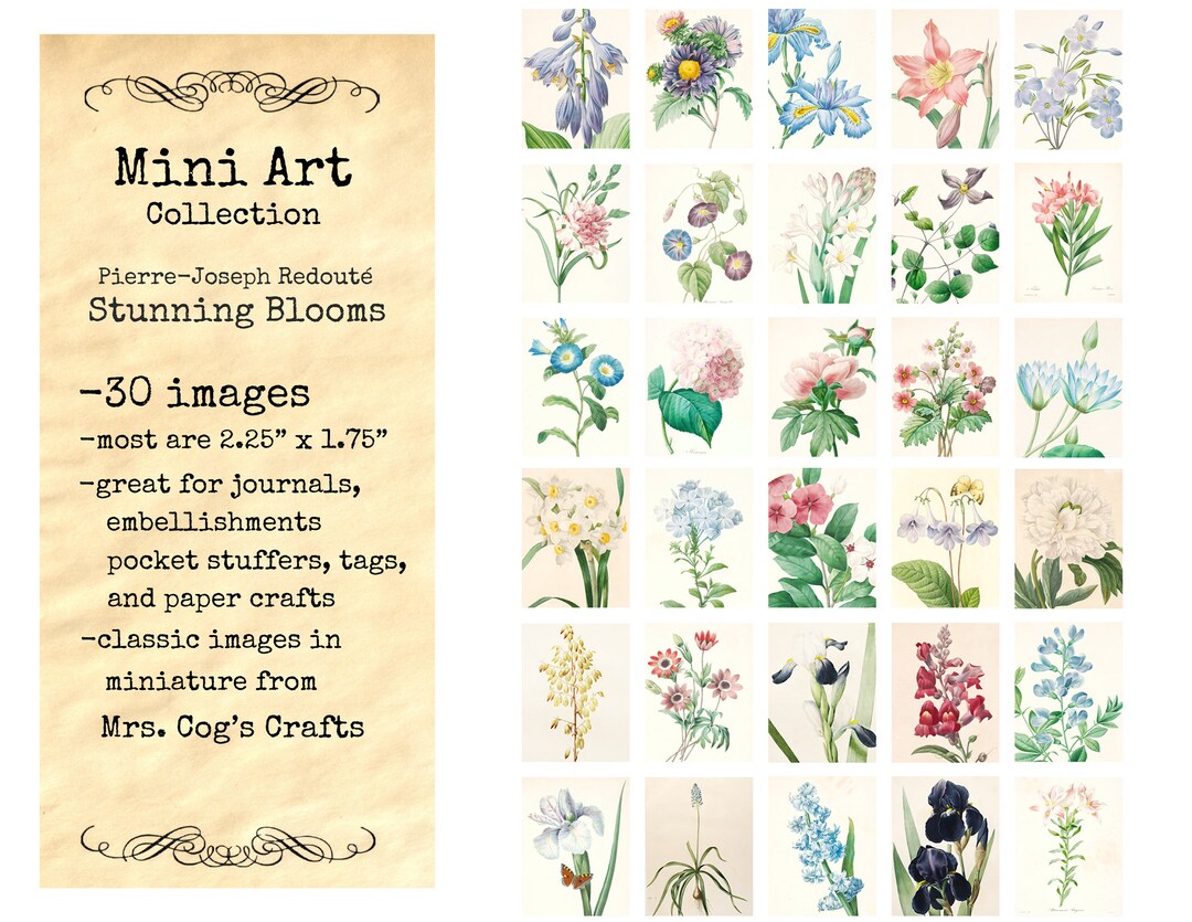 Mini Art Pierre-joseph Redouté Printable Images, Digital Download ...