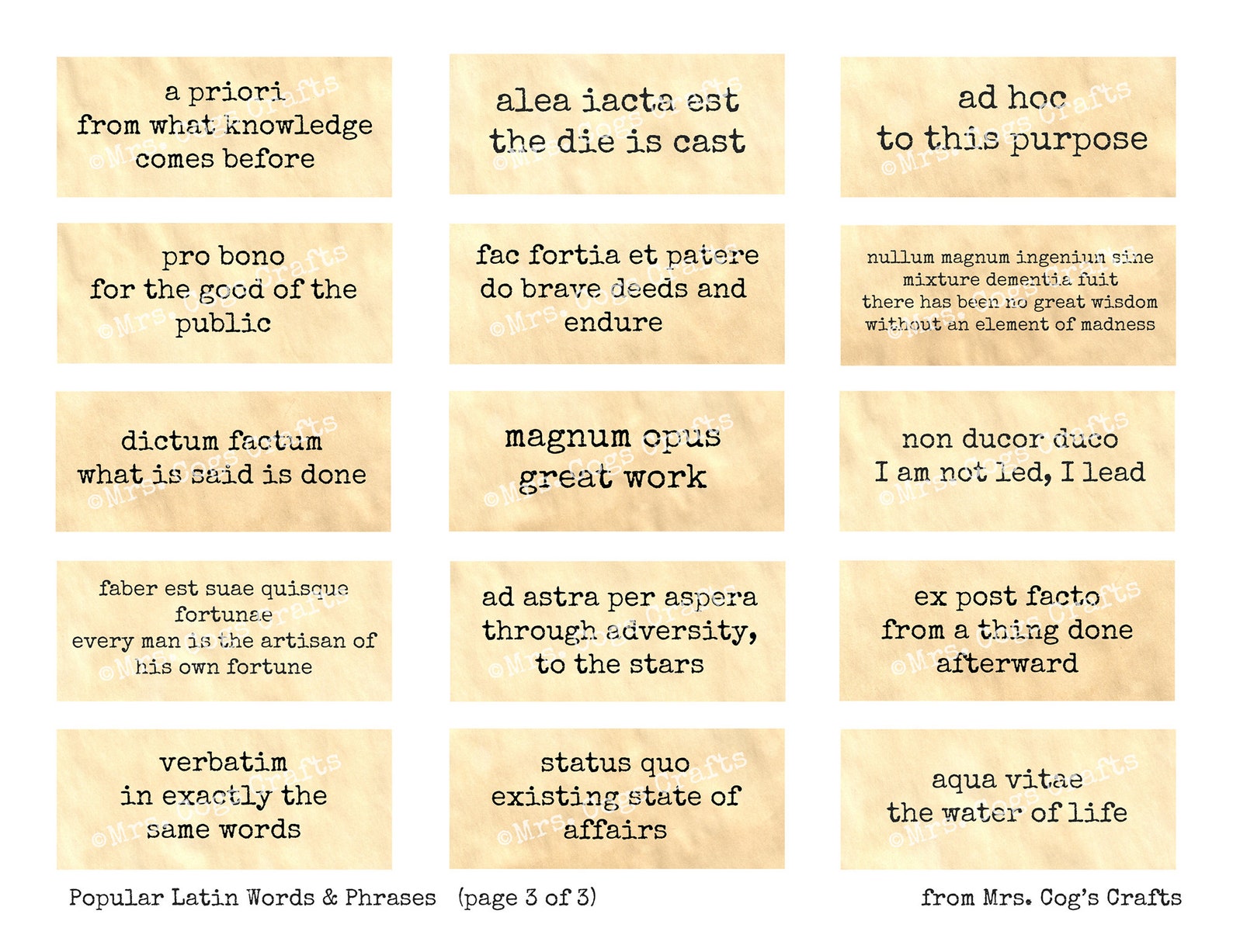 Popular Latin Phrases & Words Journal Prompts Printable | Etsy