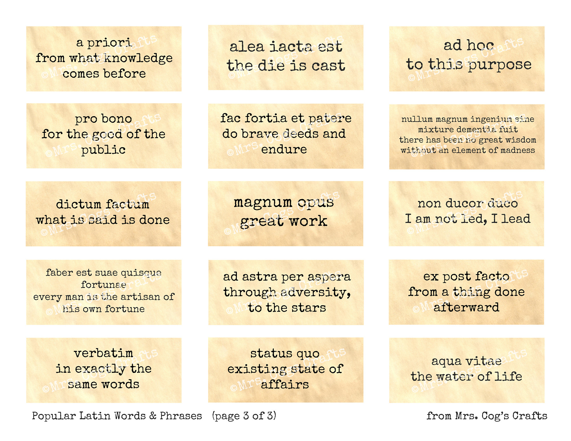 Popular Latin Phrases & Words Journal Prompts Printable - Etsy