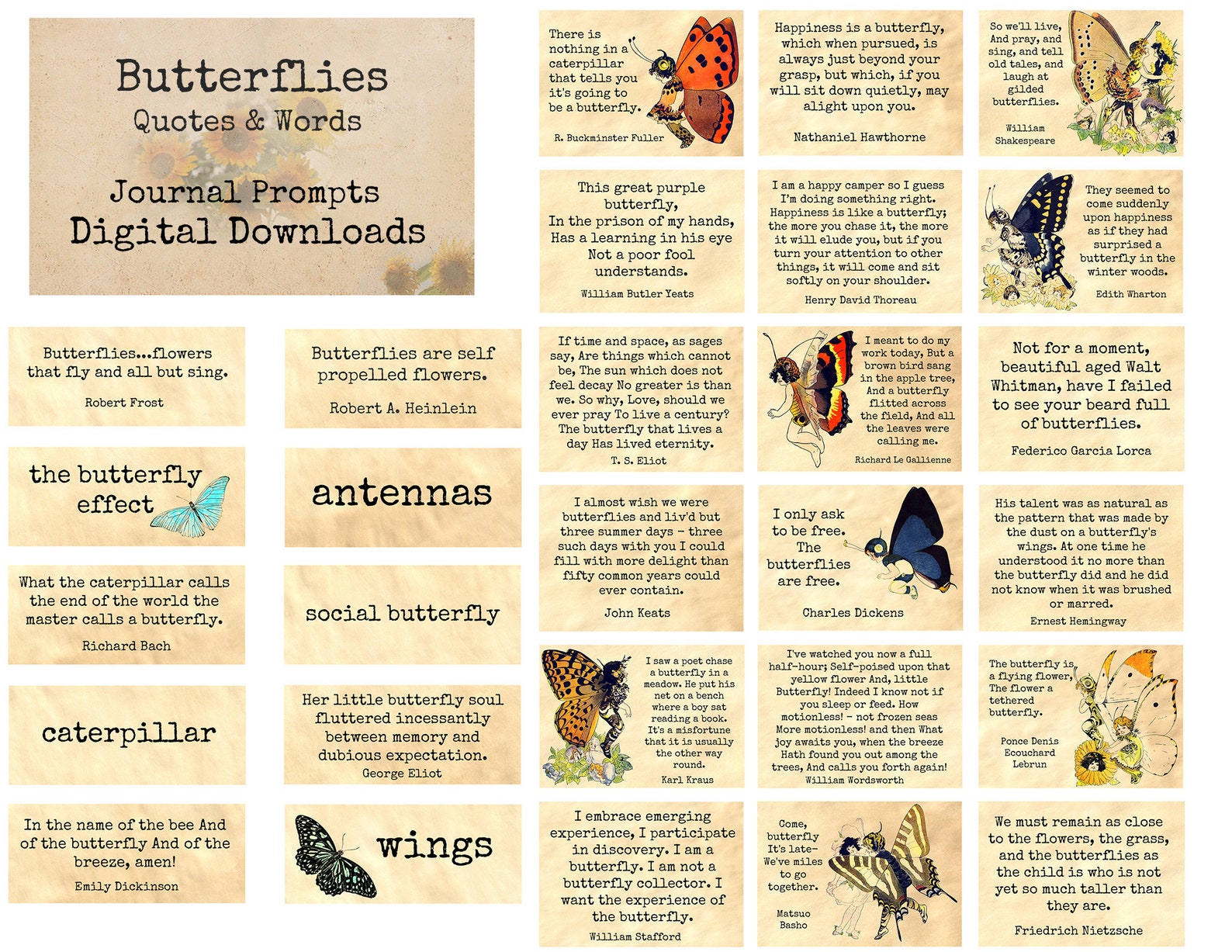 Butterflies - Quotes & Words - Journal Prompts, Printable Words ...