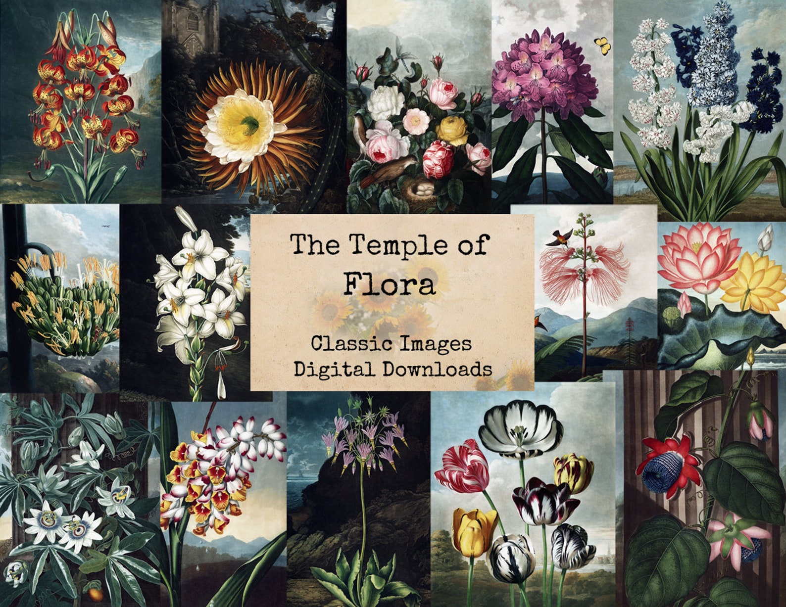 The Temple of Flora - Digital Ephemera Classics, Digital Images ...