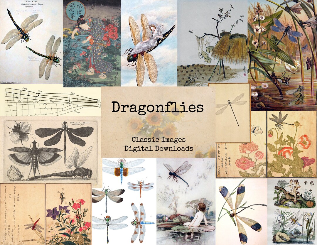 Dragonflies - Printable Images, Ephemera Classics, Digital Images ...