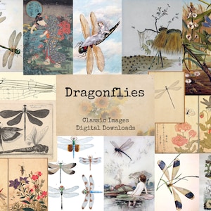 Dragonflies - Printable Images, Ephemera Classics, Digital Images ...