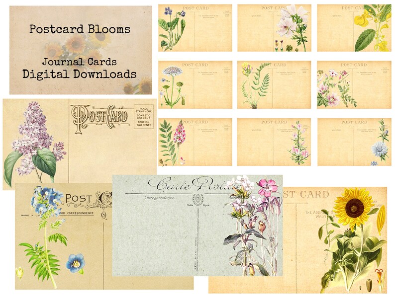 Postcard Blooms Ephemera Classics Printable Images Vintage - Etsy