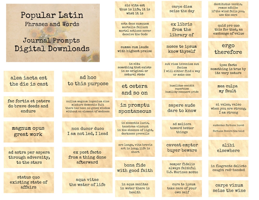 Popular Latin Phrases & Words - Journal Prompts, Printable Words ...
