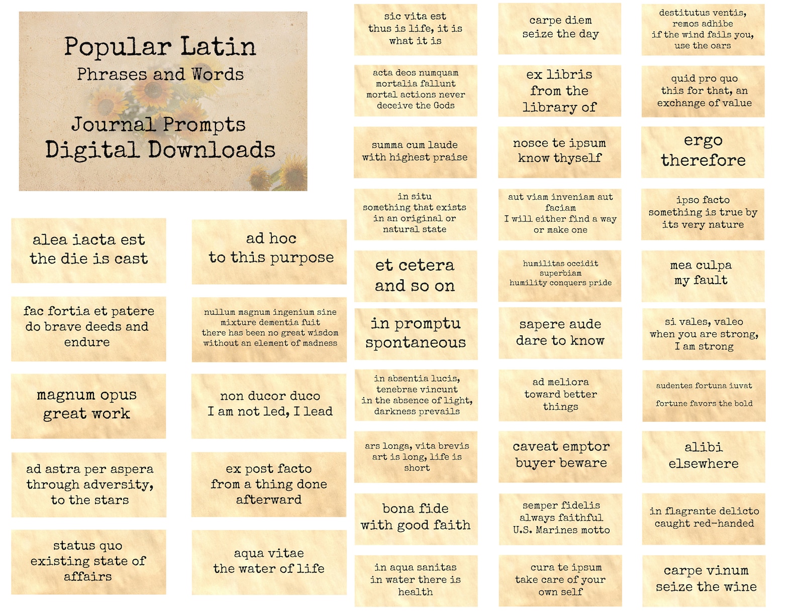Popular Latin Phrases & Words - Journal Prompts, Printable Words ...