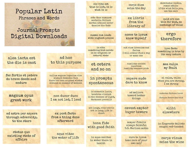 Popular Latin Phrases & Words Journal Prompts Printable | Etsy