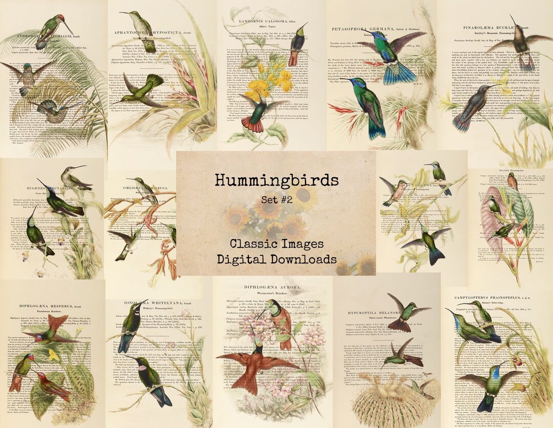 Hummingbirds Set #2 - Printable Images, Ephemera Classics, Digital ...