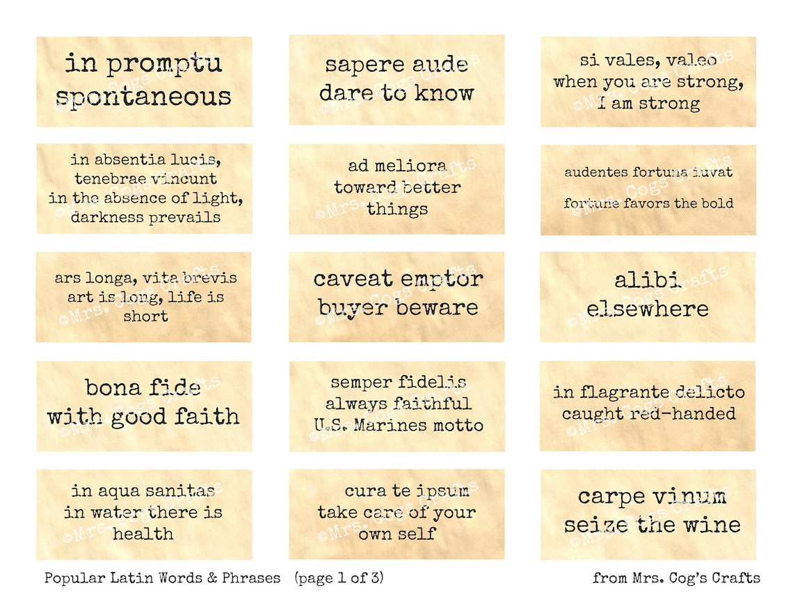 Popular Latin Phrases & Words Journal Prompts Printable - Etsy