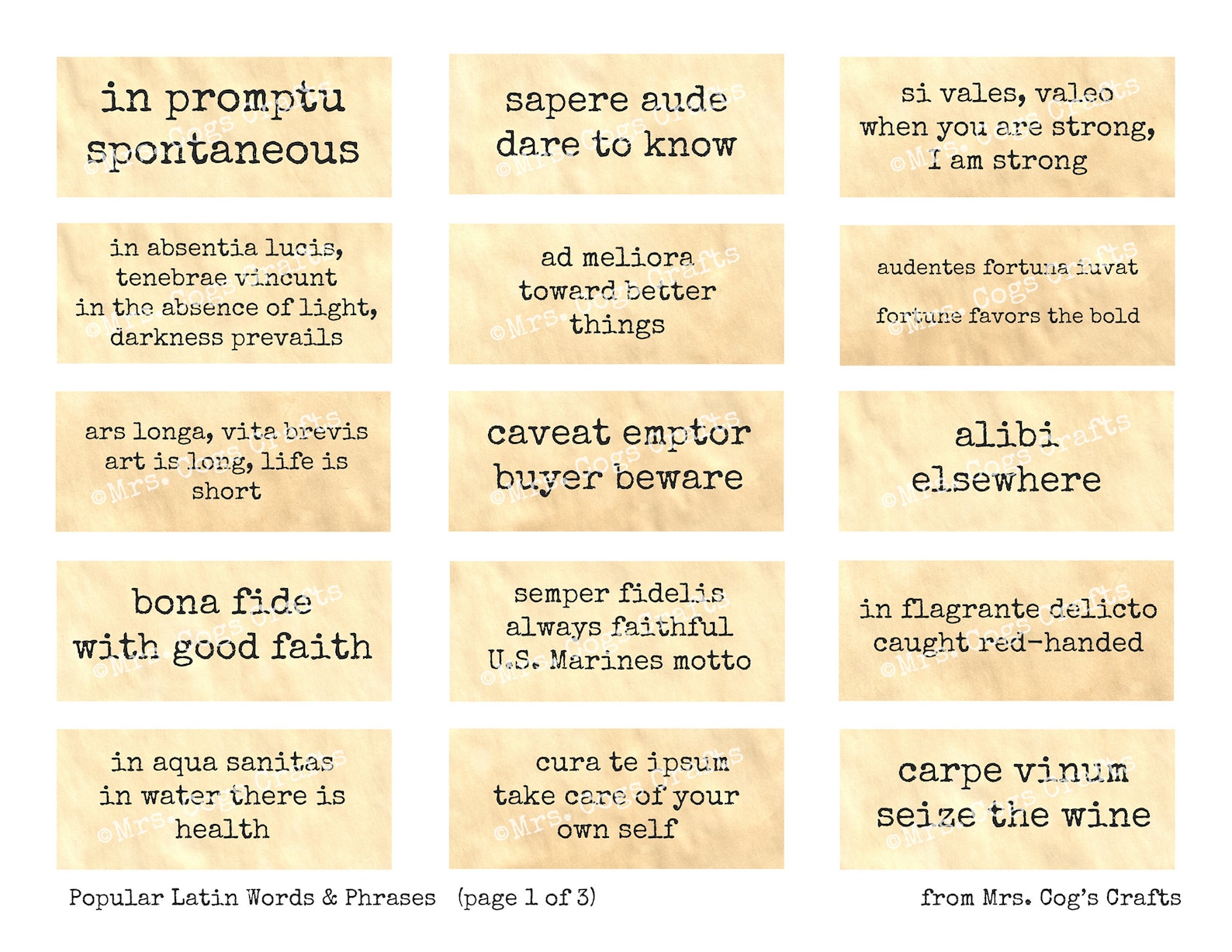 Popular Latin Phrases & Words Journal Prompts Printable - Etsy