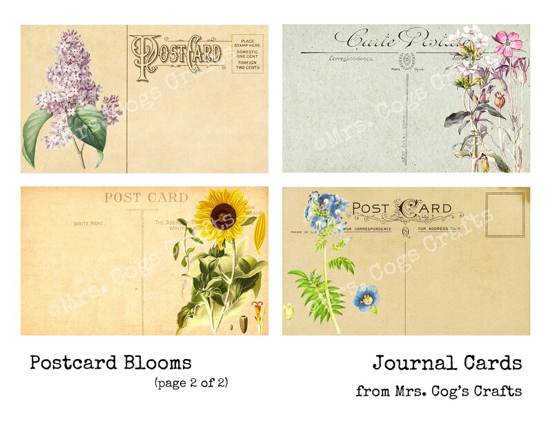 Postcard Blooms Ephemera Classics Printable Images Vintage - Etsy