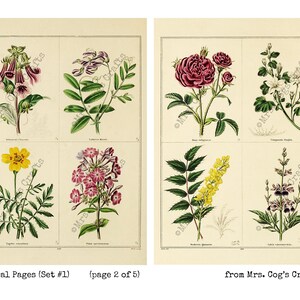 Floral Pages Set #1 - Large Images, Printable Images, Instant Download ...