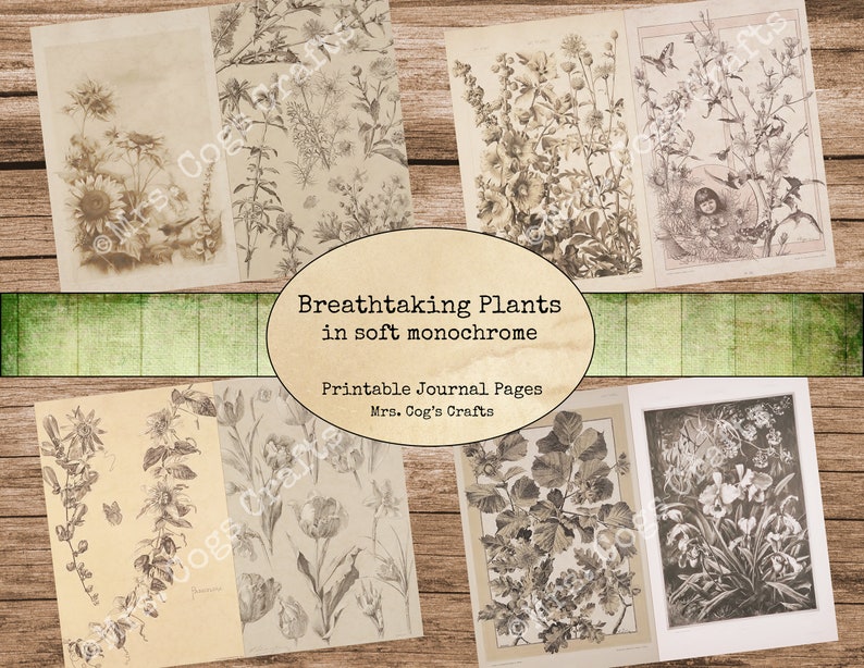 Breathtaking Plants Journal Pages Paper Pack Printable - Etsy