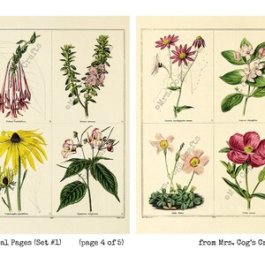 Floral Pages Set #1 - Large Images, Printable Images, Instant Download ...