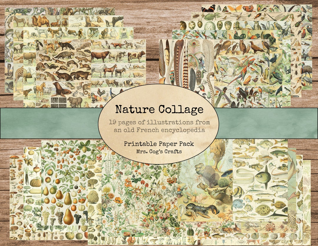 Nature Collage Junk Journal Pages - Paper Pack, Printable Journal Pages ...