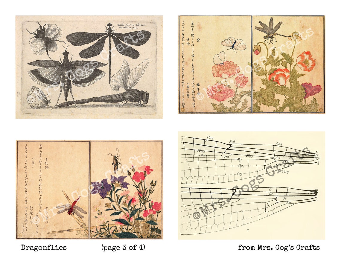 Dragonflies Printable Images Ephemera Classics Digital | Etsy