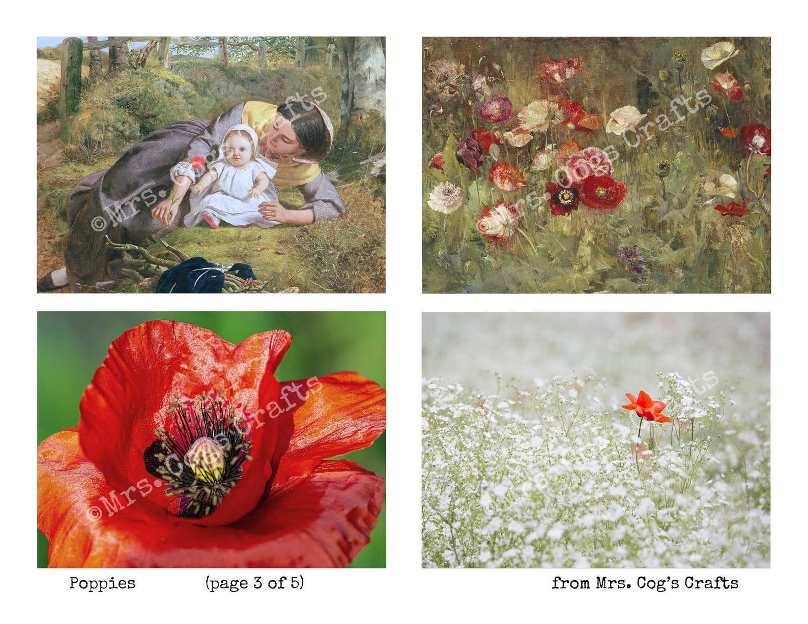 Poppies Printable Images Digital Ephemera Vintage Art - Etsy