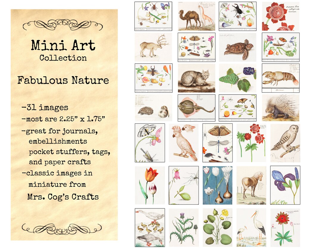 Mini Art - Fabulous Nature - Printable Images, Digital Download ...