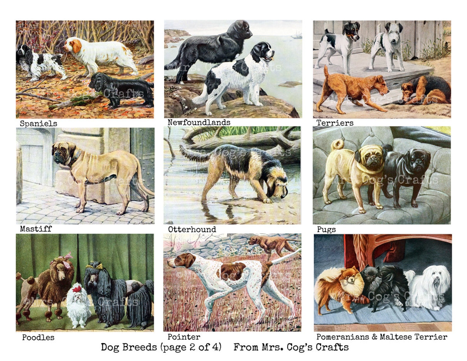 Dog Breeds Digital Classics Printable Images Vintage Art - Etsy