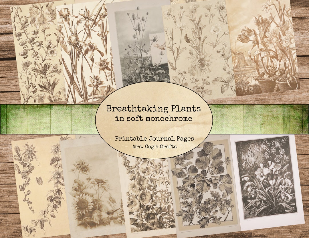 Breathtaking Plants Journal Pages - Paper Pack, Printable Journal Pages ...