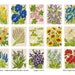 Mini Art - Embroidered Flowers - Printable Images, Digital Download ...