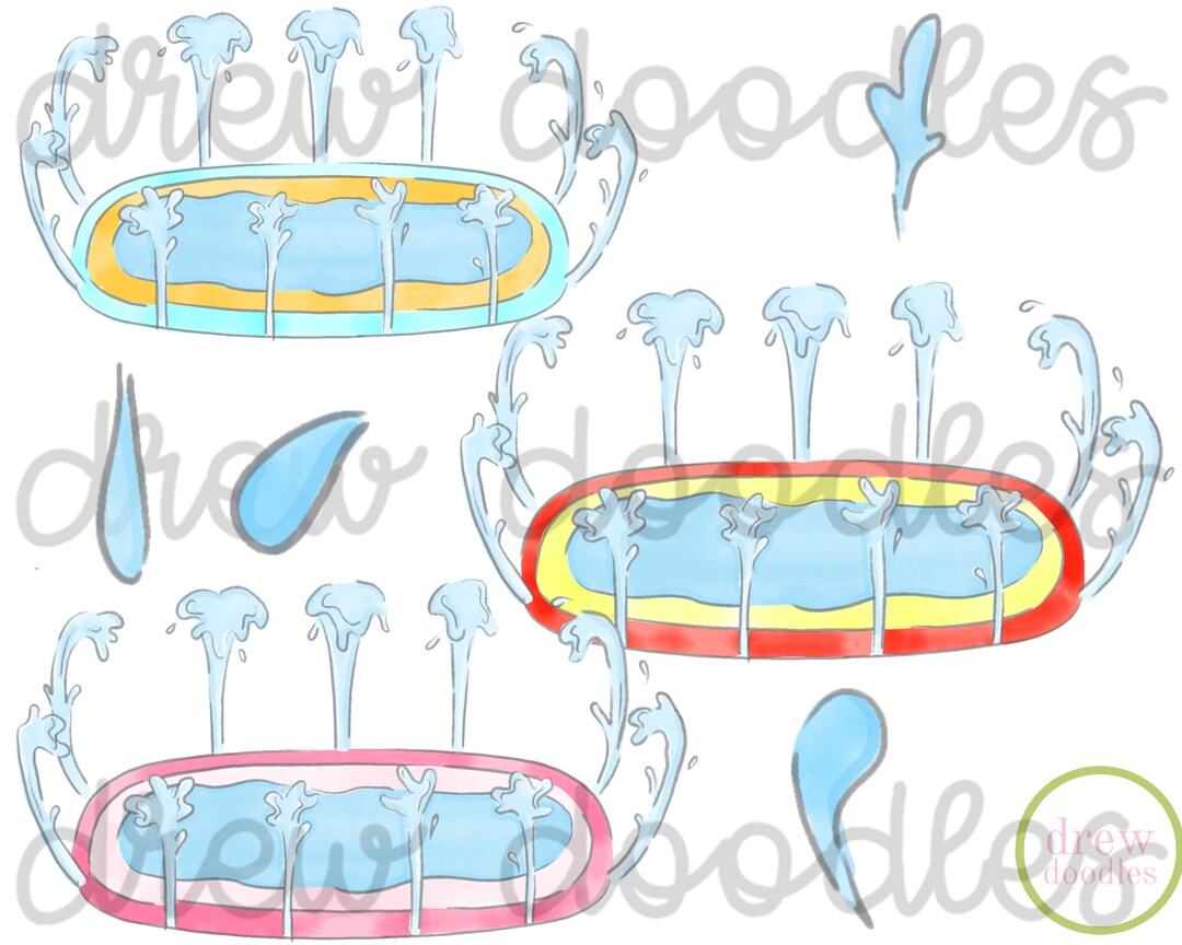 Watercolor Splash Pad Digital Clip Art Set- Instant Download - Etsy