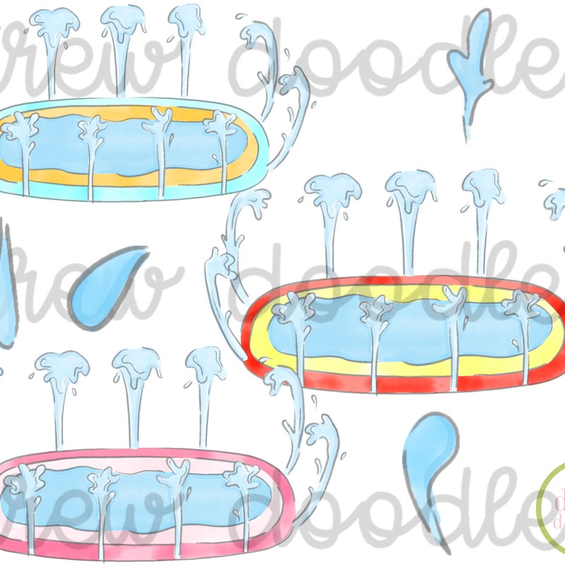 Splash Pad Clip Art - Etsy