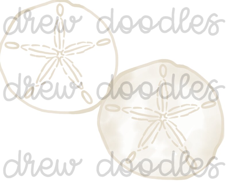 Watercolor Sand Dollar Digital Clip Art Set Instant Download - Etsy