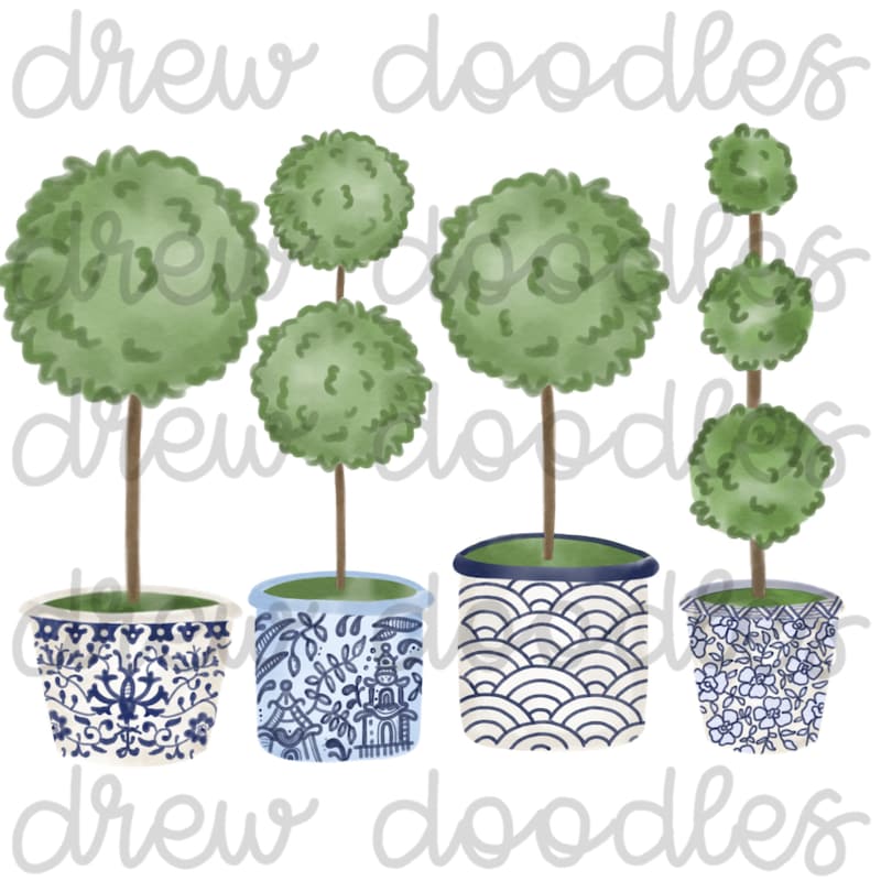 Boxwood Topiary - Etsy