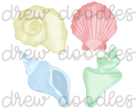 Watercolor Beach Seashells Digital Clip Art Set Instant | Etsy