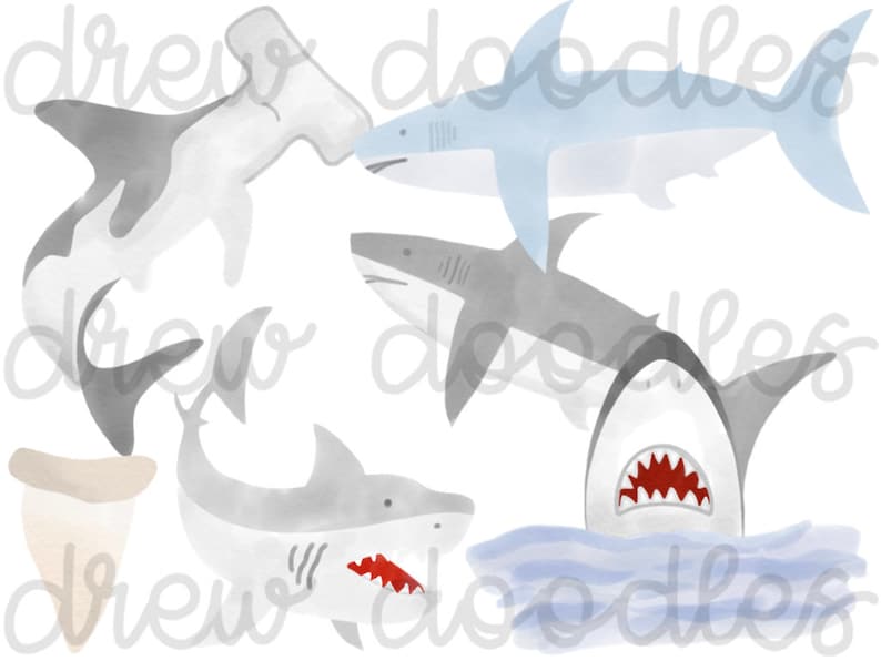 Watercolor Sharks Digital Clip Art Set Instant Download - Etsy