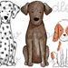 Watercolor Dogs Digital Clip Art Set- Instant Download - Etsy