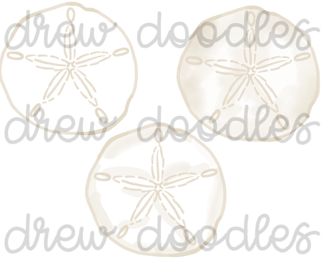 Watercolor Sand Dollar Digital Clip Art Set- Instant Download - Etsy