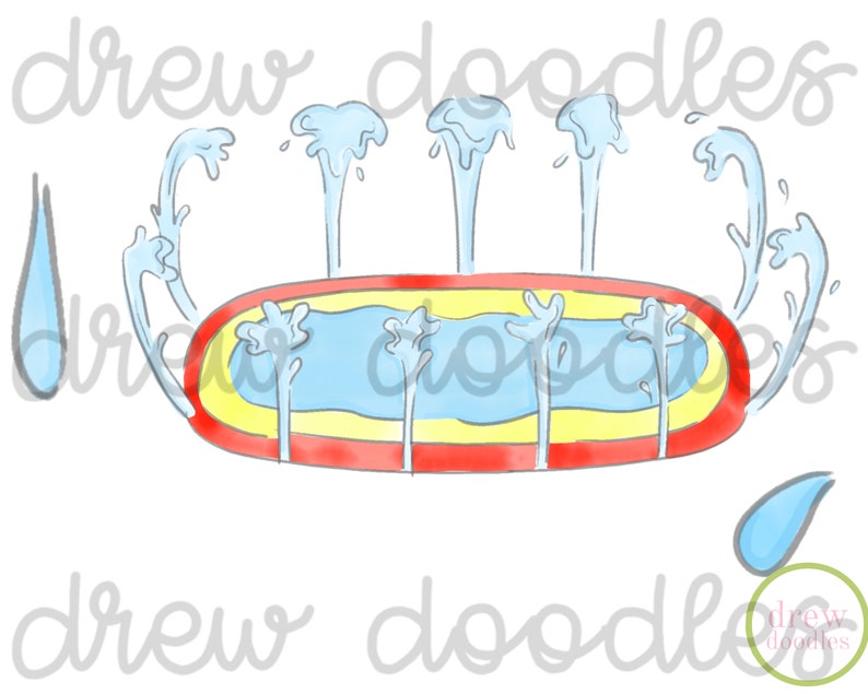 Watercolor Splash Pad Digital Clip Art Set Instant Download - Etsy