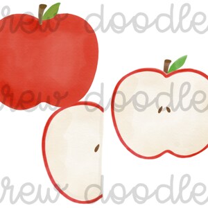 Watercolor Apples Digital Clip Art Set- Instant Download - Etsy