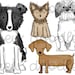 Watercolor Dogs Digital Clip Art Set- Instant Download - Etsy