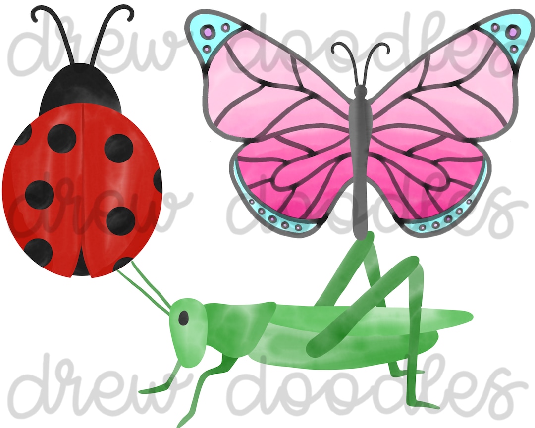 Watercolor Insects- Butterfly, Grasshopper, Ladybug- Digital Clip Art ...